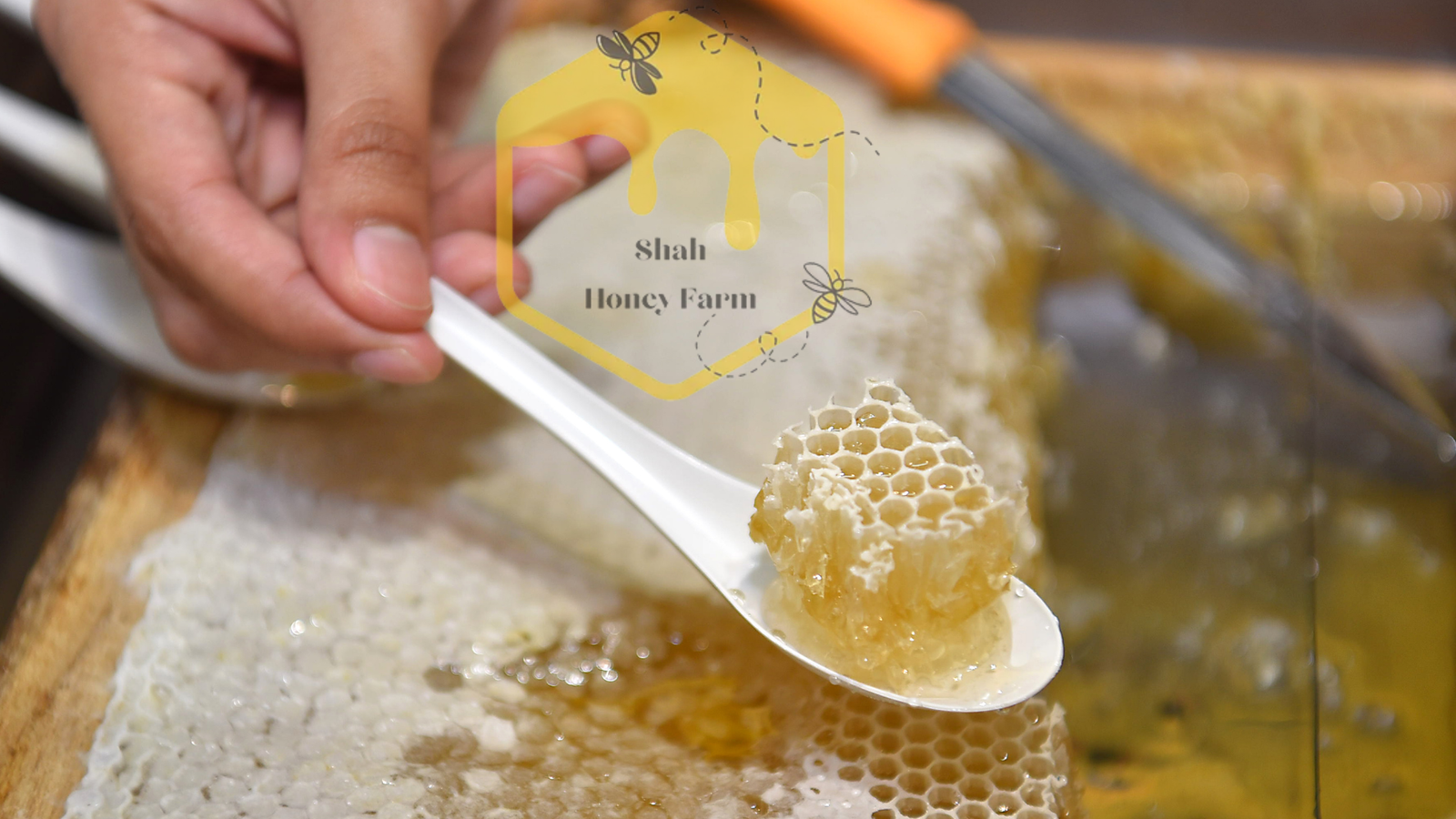 Organic & Natural Honey in Pakistan – Shah Honey Farm